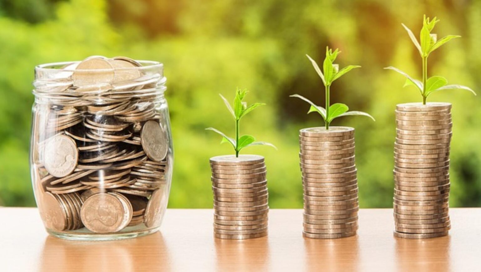 Top SACCOs Offering Highest Dividends and Interest Rates